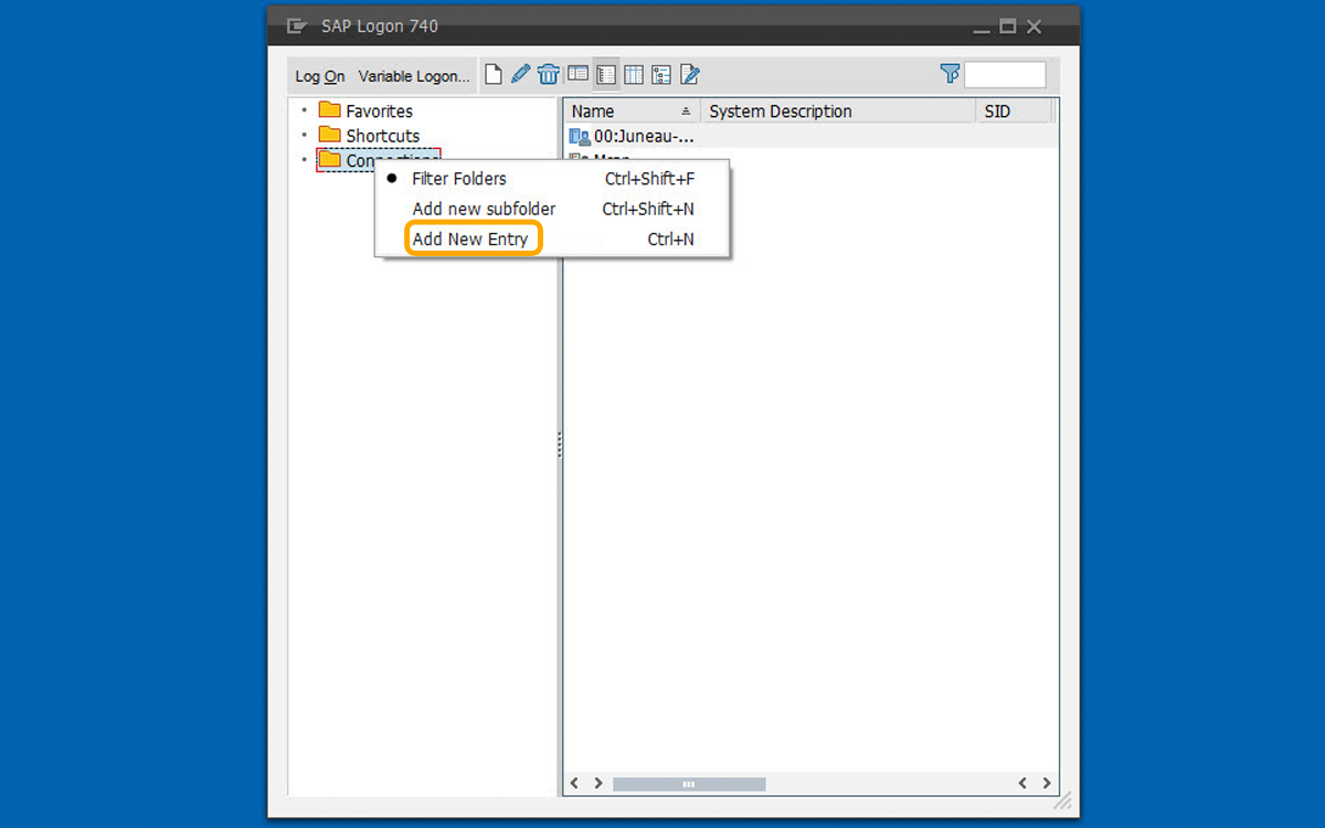 Sap gui interface - bicycleswit